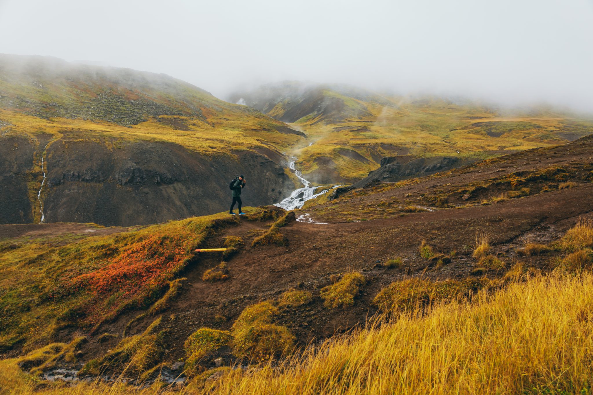 25 common basic Icelandic words (must know when traveling to Iceland)