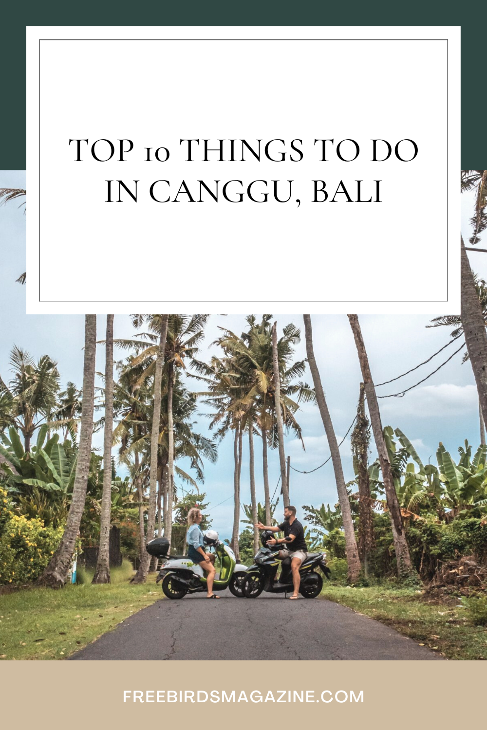 Top 10 Things to Do in Canggu, Bali - What to see, eat and more!