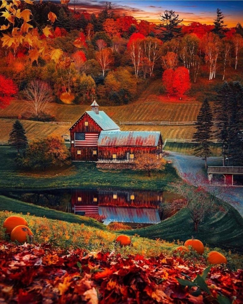 The Cabinland helps with booking amazing cabins in the USA